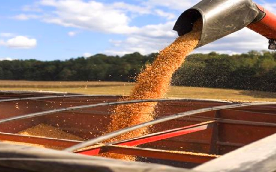 Home - Virginia Biosolids Council