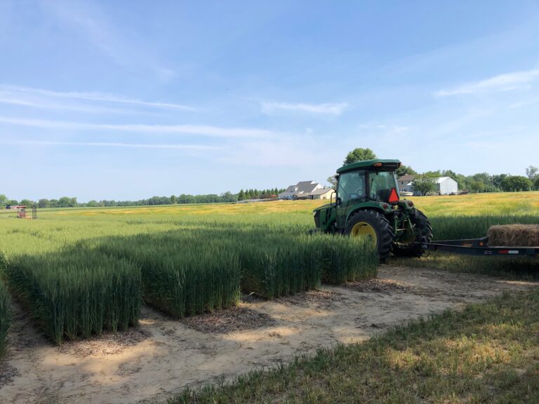 Building Soil Health Focus of Climate Change Presentation – 2021 ...