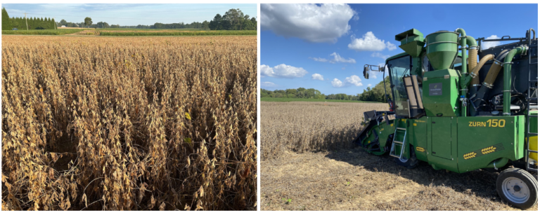 Research Continues at Eastern Virginia AREC Biosolids Plot - Virginia ...